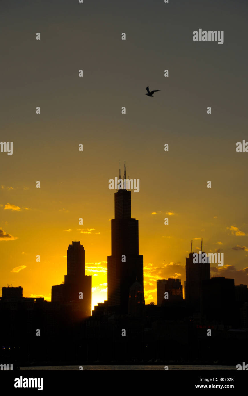 Chicago Illinois sunset scene, late afternoon, portrait Stock Photo - Alamy