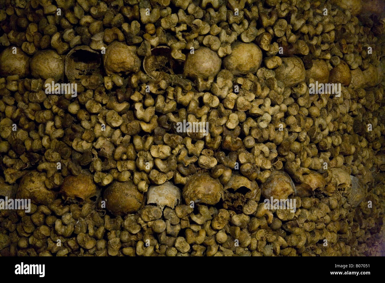 Human skulls and bones stacked in rows in the underground Catacombs ...