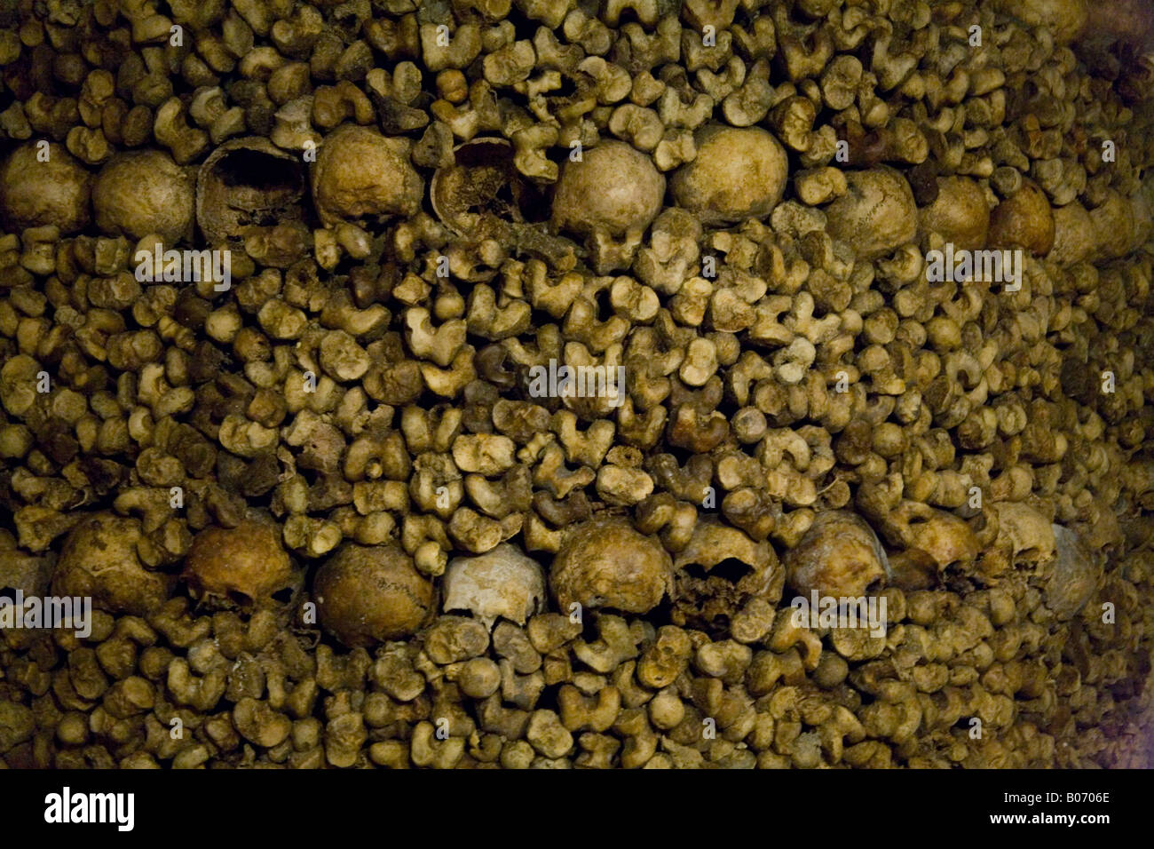 Human skulls and bones stacked in rows in the underground Catacombs ...