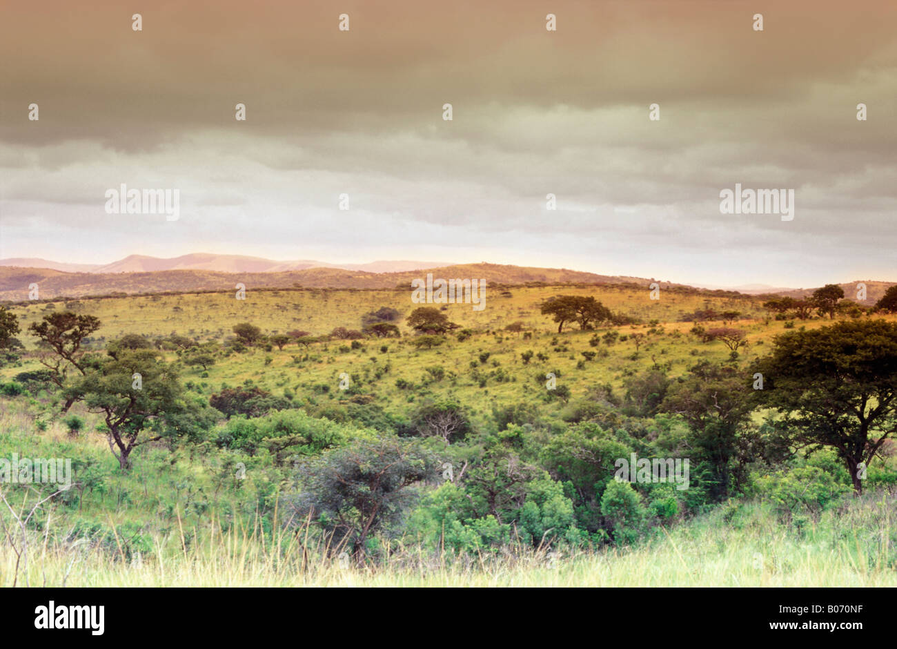SOUTH AFRICA EASTERN CAPE KWAZULU NATAL IXOPE HILLS LANDSCAPE Stock ...