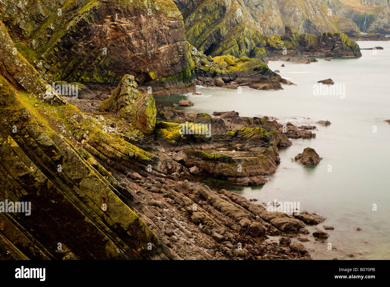 Scotland Scottish Borders St Abbs Uplifted rock layers at Petticot Wick ...