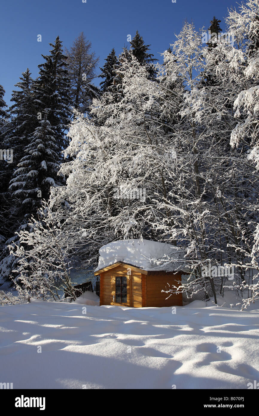 snow covered wooden hut in forest Stock Photo - Alamy