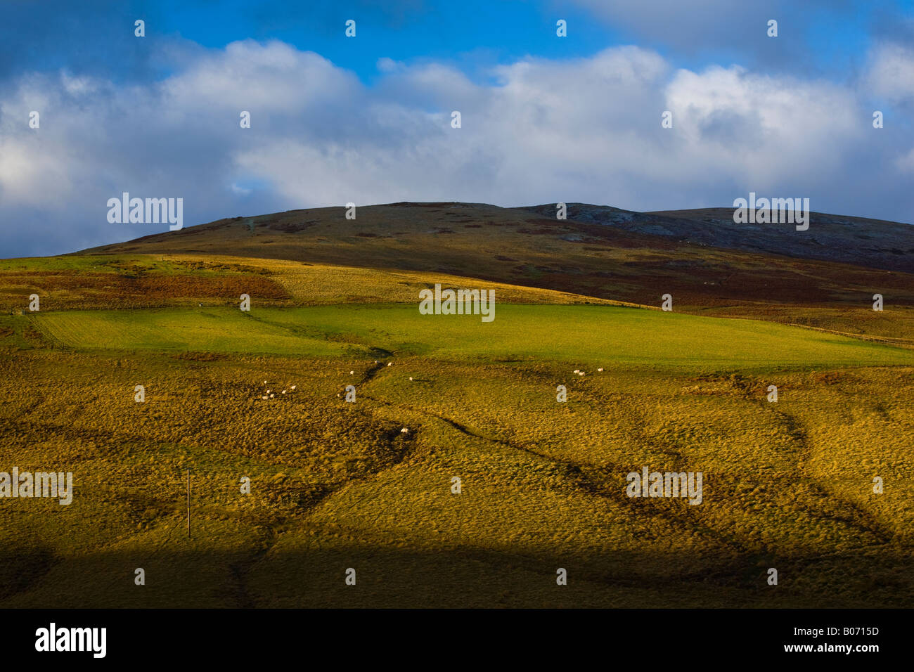 Blake muir hi-res stock photography and images - Alamy