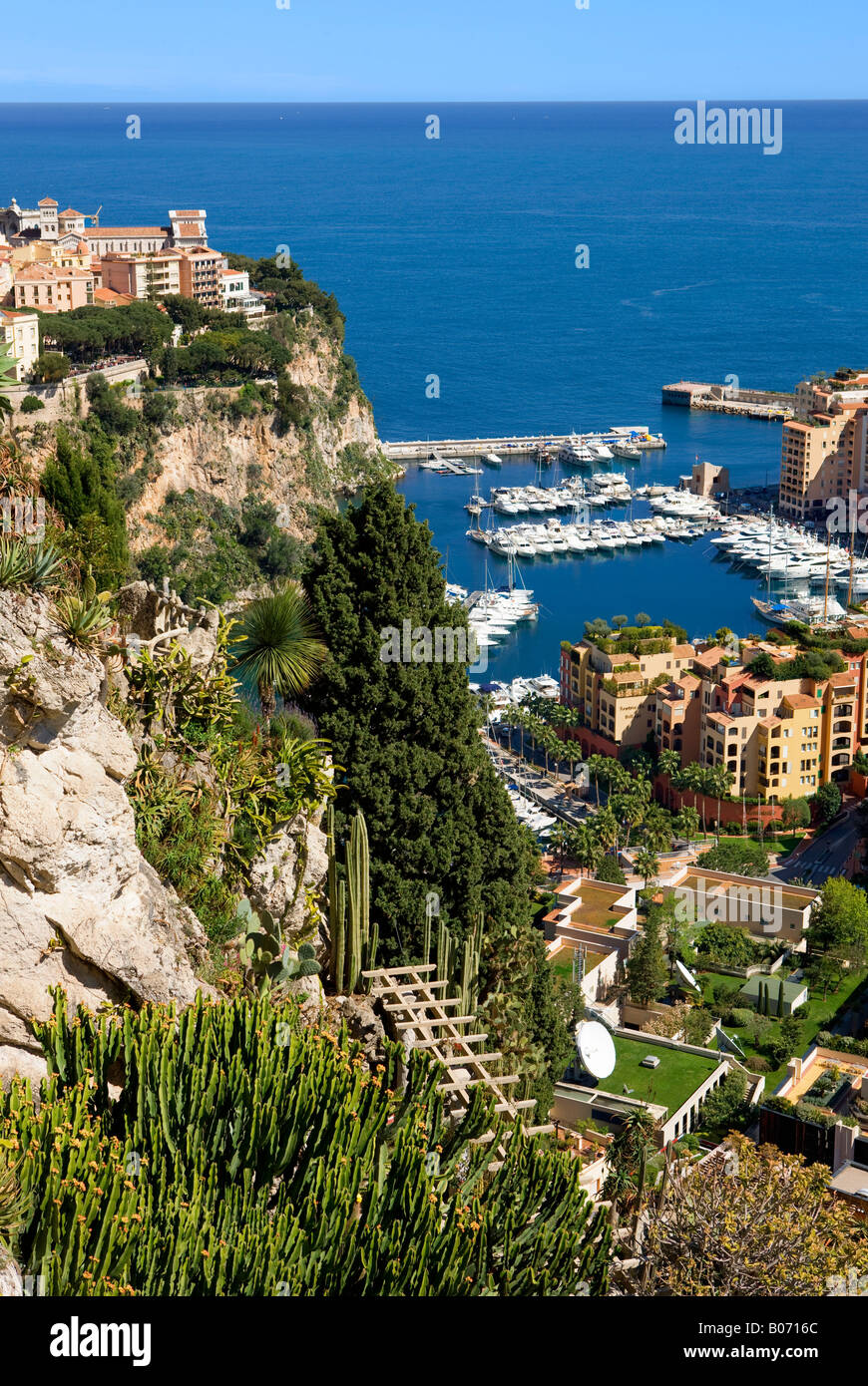 exotic garden in Monaco Stock Photo - Alamy