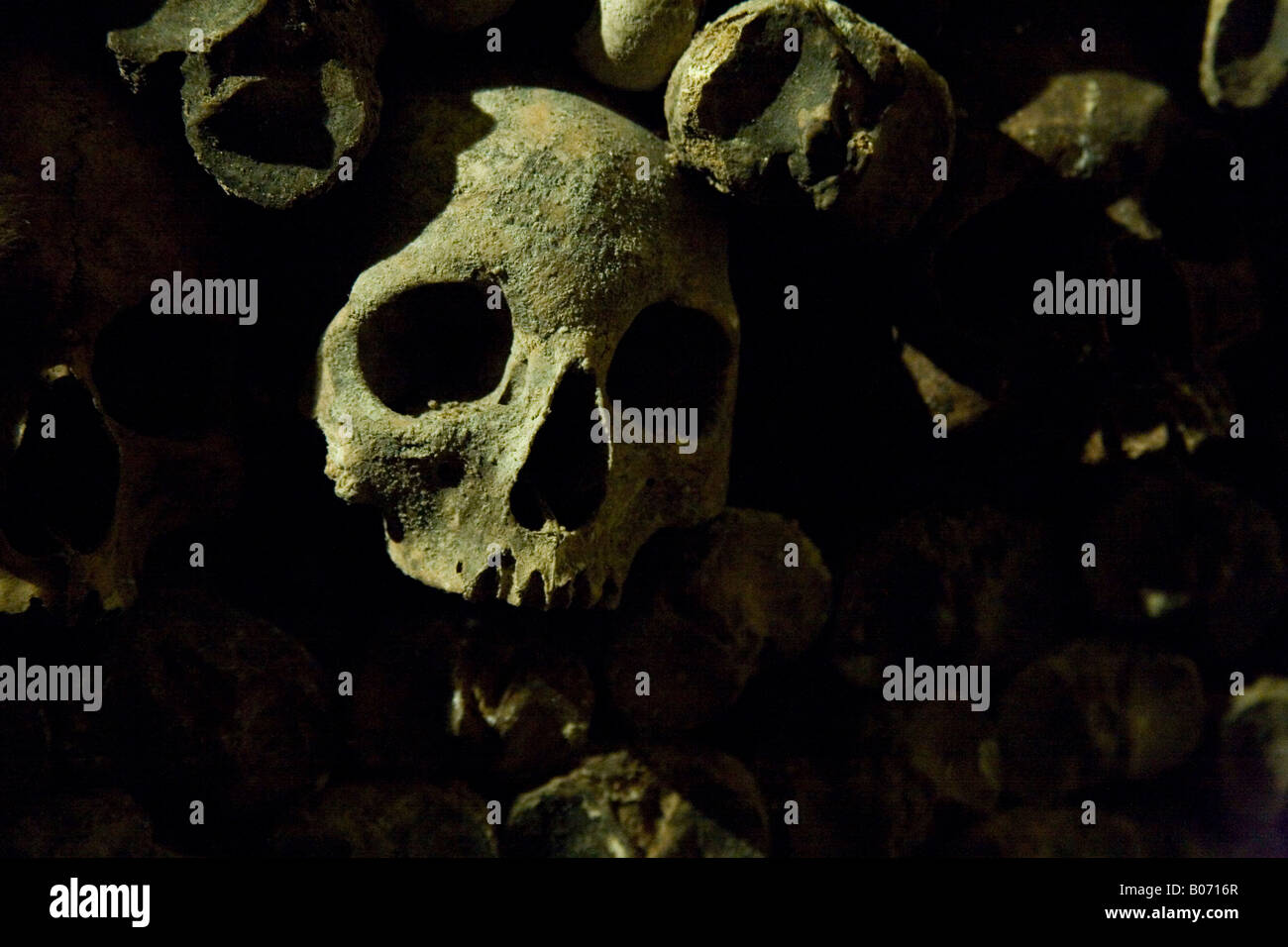 Human skulls and bones stacked in rows in the underground Catacombs ...