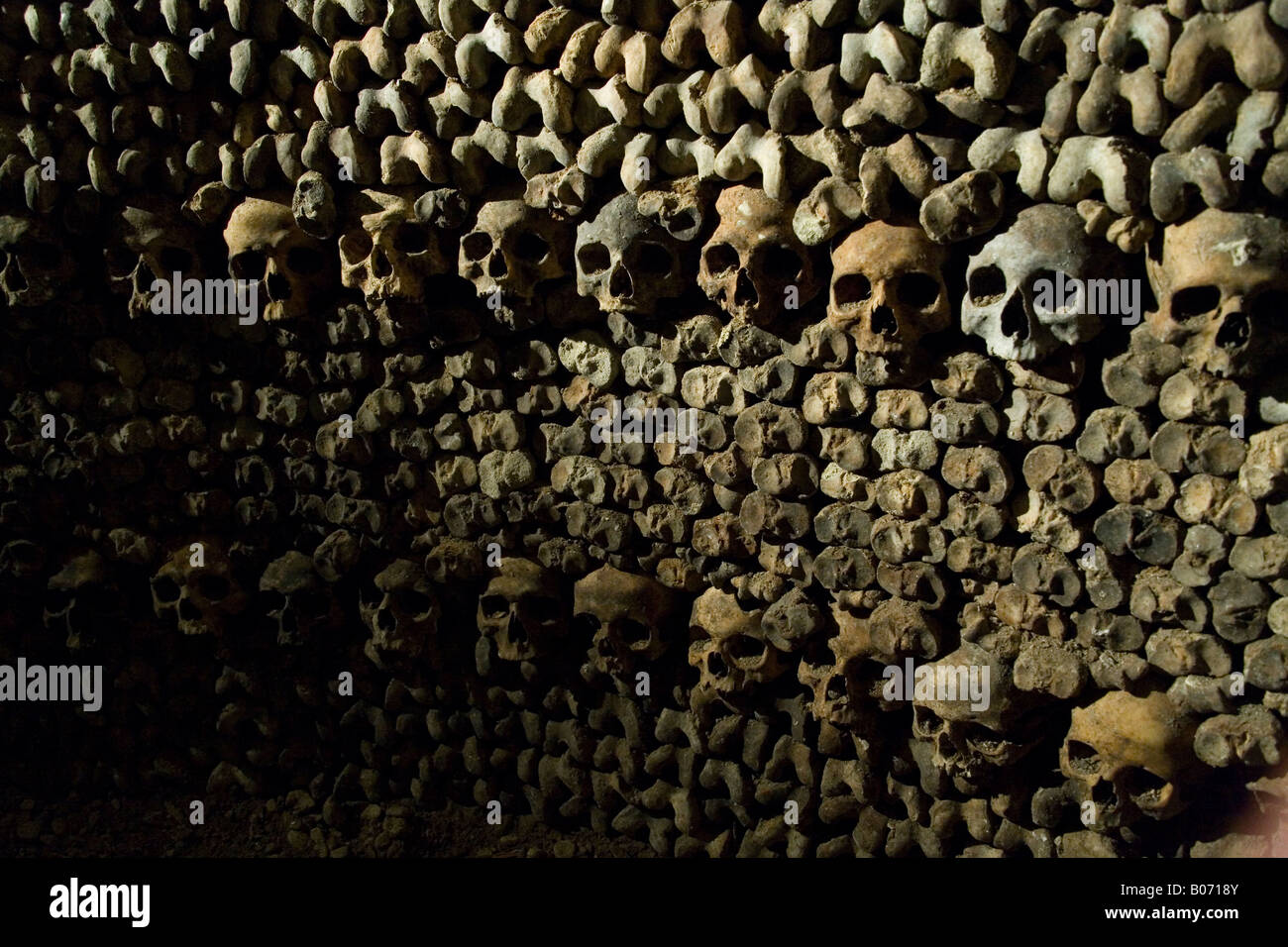 Human skulls and bones stacked in rows in the underground Catacombs ...