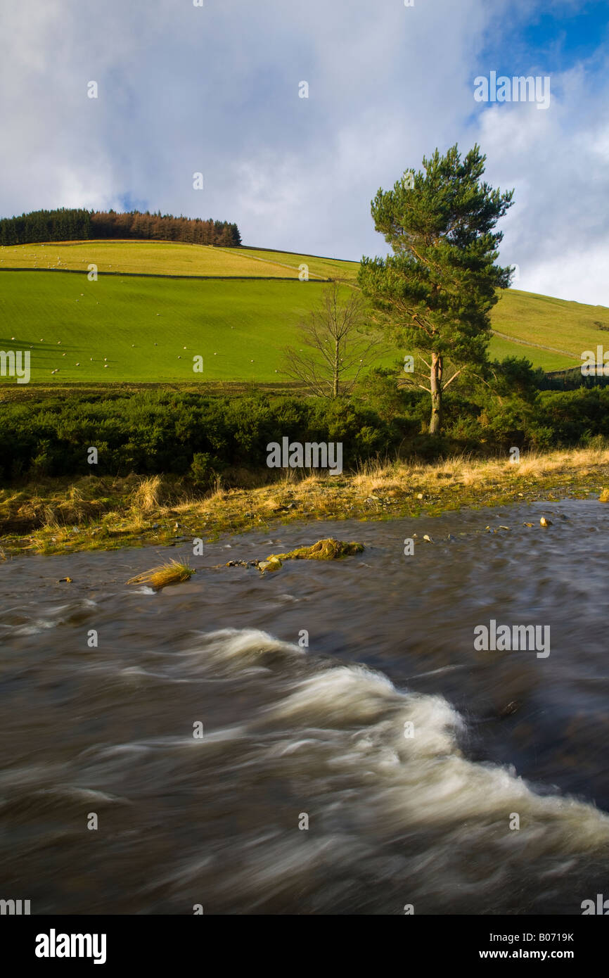 Scotland Scottish Borders Leithen Water The gentle flowing rapids of ...