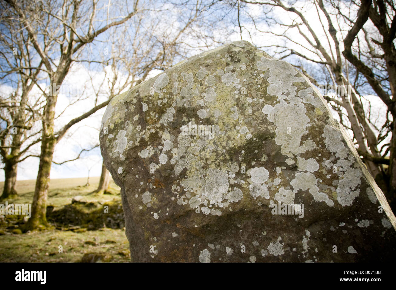 Old stone covered in mosses and lichen showing its ancient quality one ...