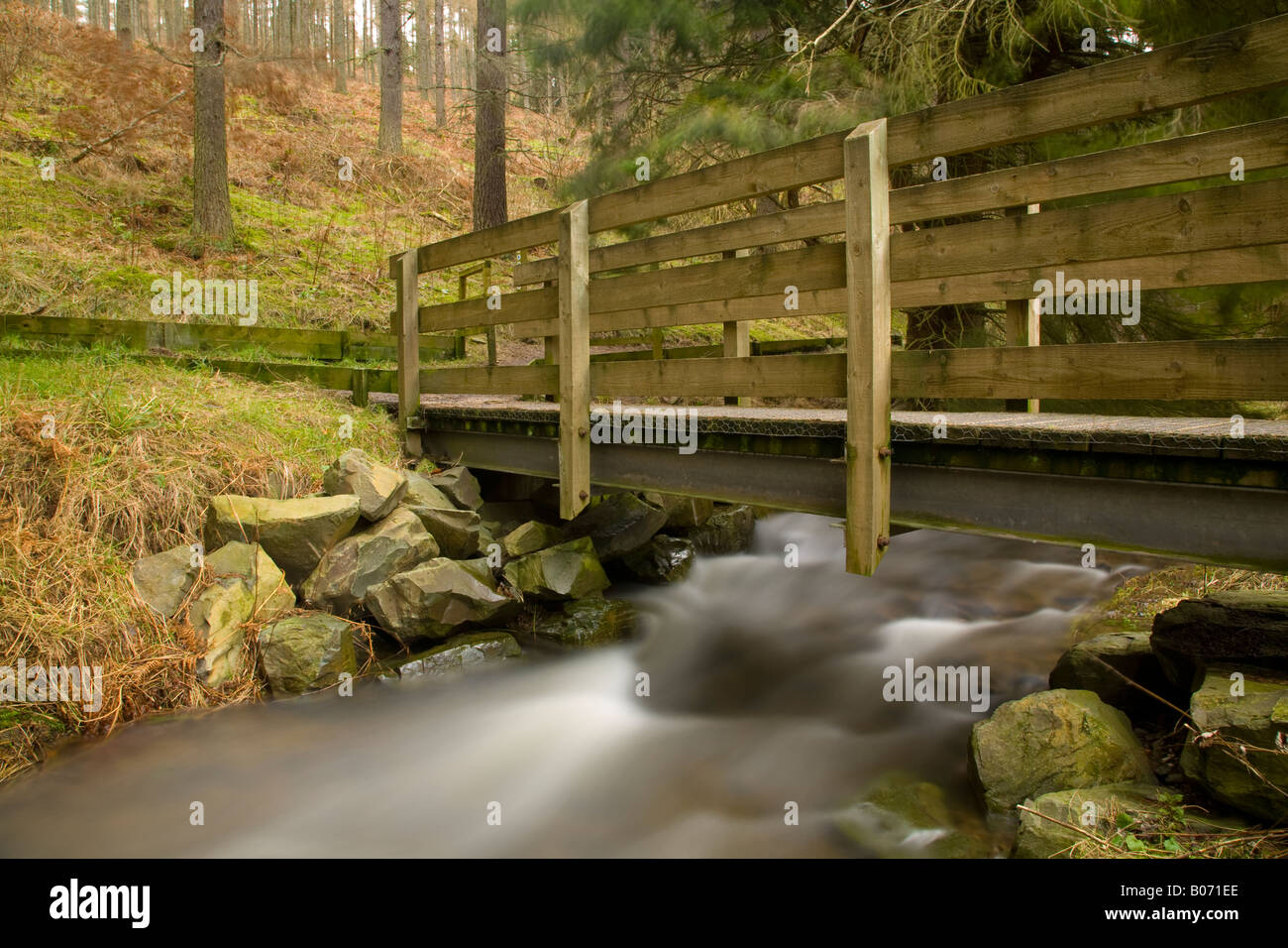 Cardrona forest hi-res stock photography and images - Alamy