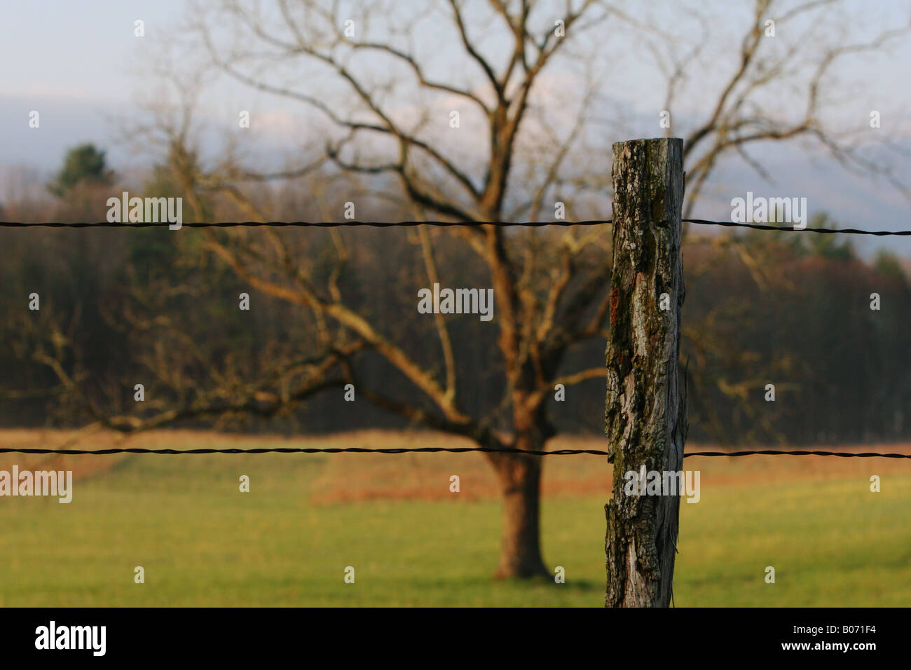 A fence in Cades Cove Stock Photo - Alamy