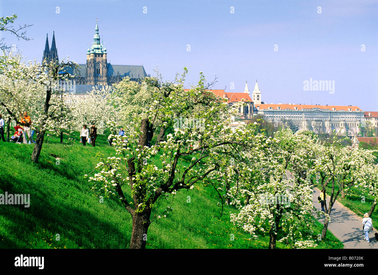 Prague spring petrin hill in bloom hi-res stock photography and images ...