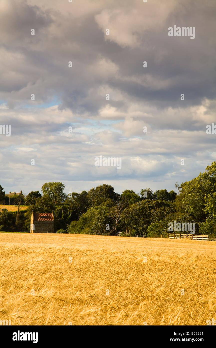 The old Doocot Boarhills, fife, Scotland Stock Photo - Alamy