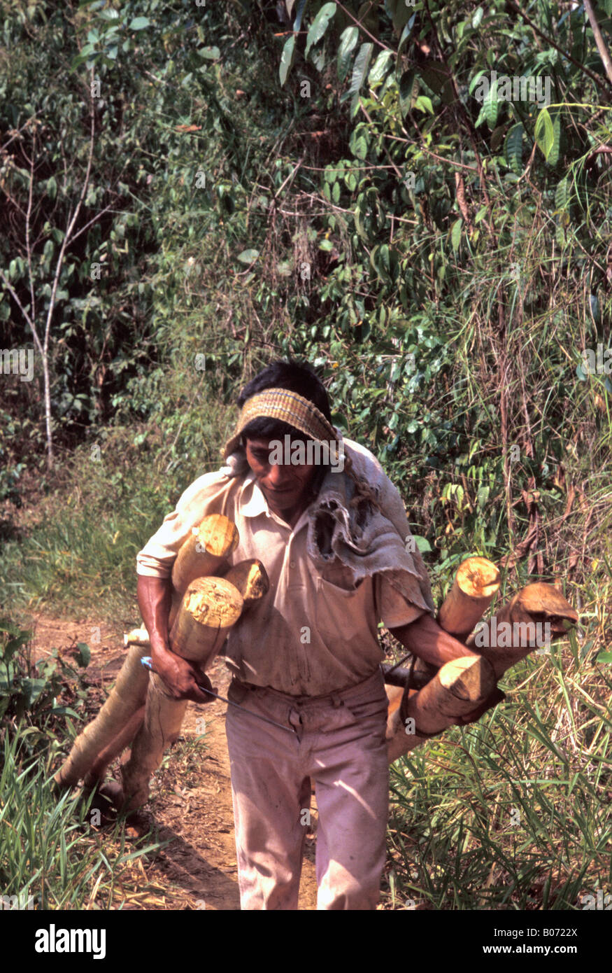 Campesino guatemala hi-res stock photography and images - Alamy