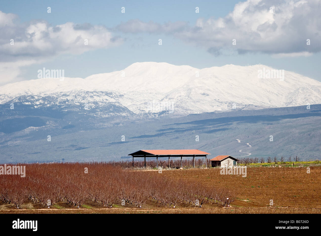 A warehouse and a cabin with snowy Mount Hermon in the background Stock ...