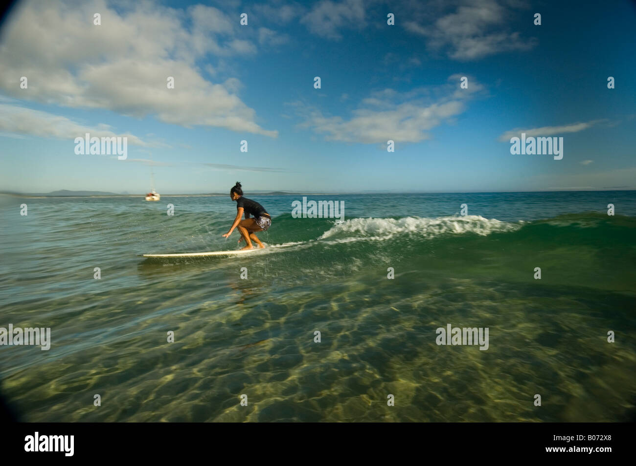 Tea tree bay noosa hi-res stock photography and images - Alamy