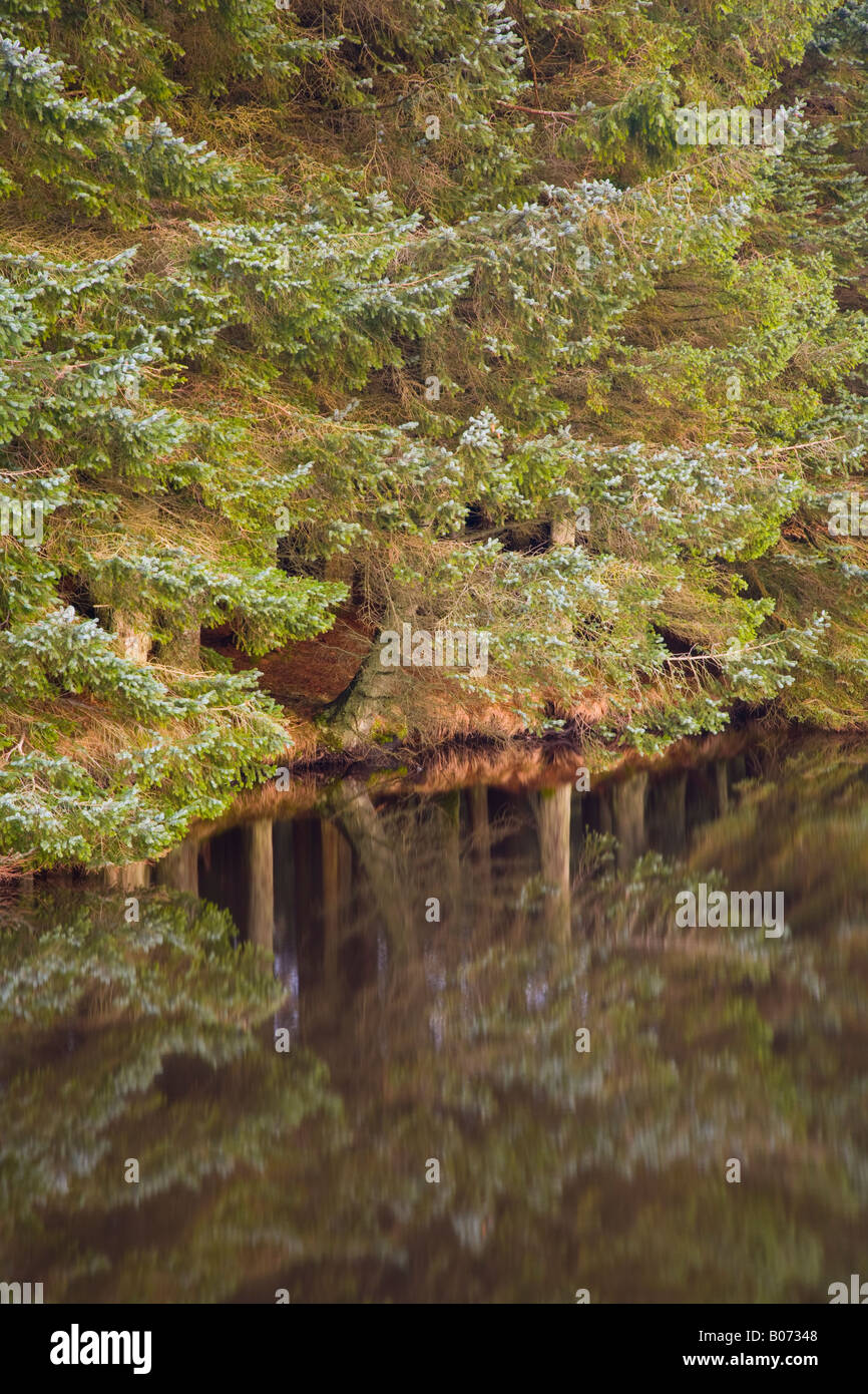 Alemoor loch hi-res stock photography and images - Alamy
