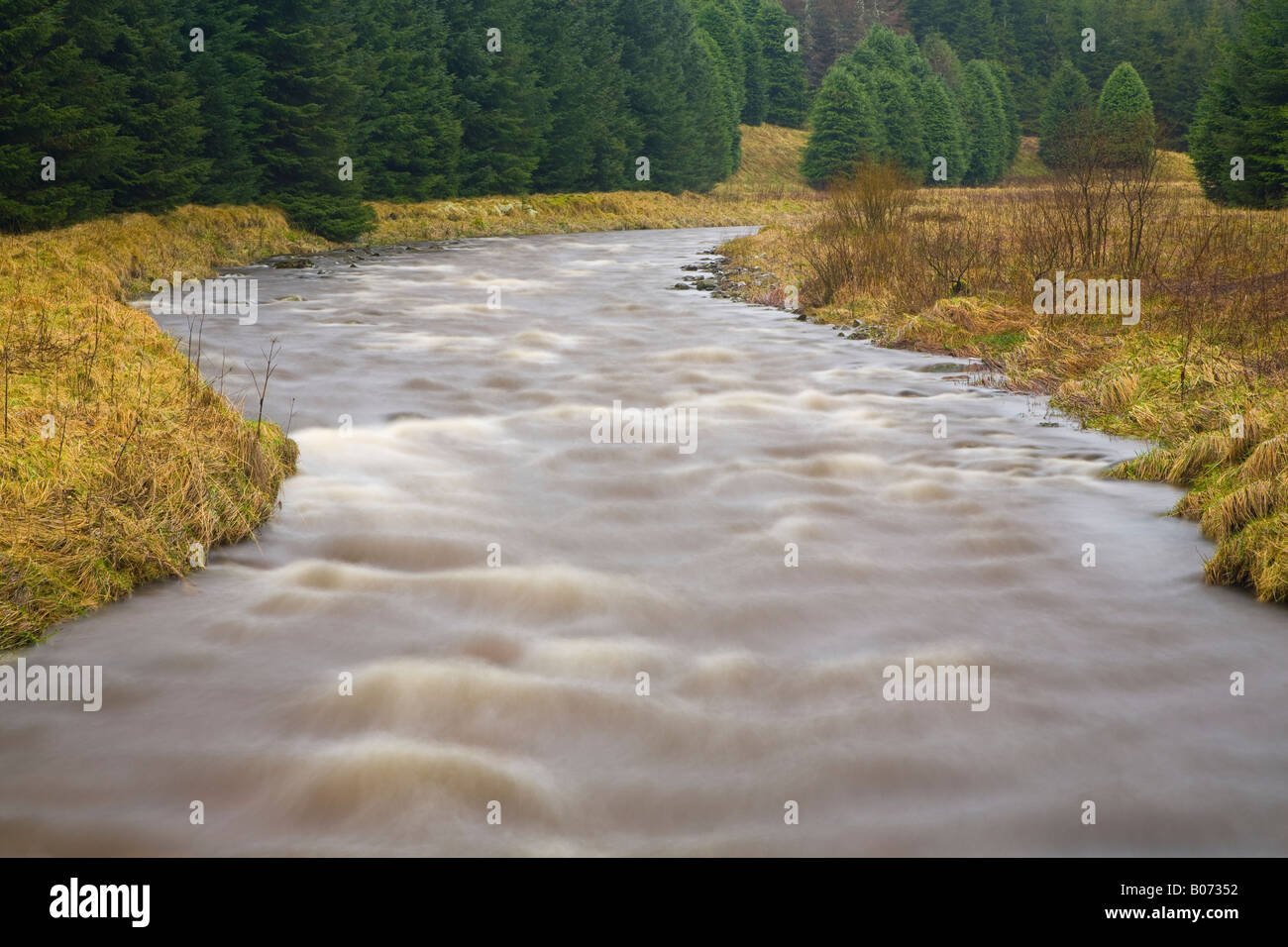 Craik hi-res stock photography and images - Alamy