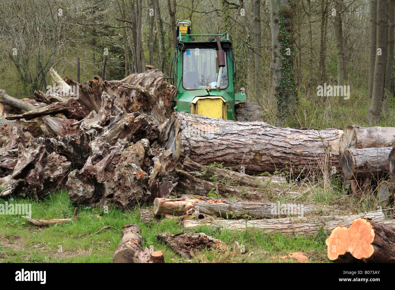 Felling logs hi-res stock photography and images - Alamy