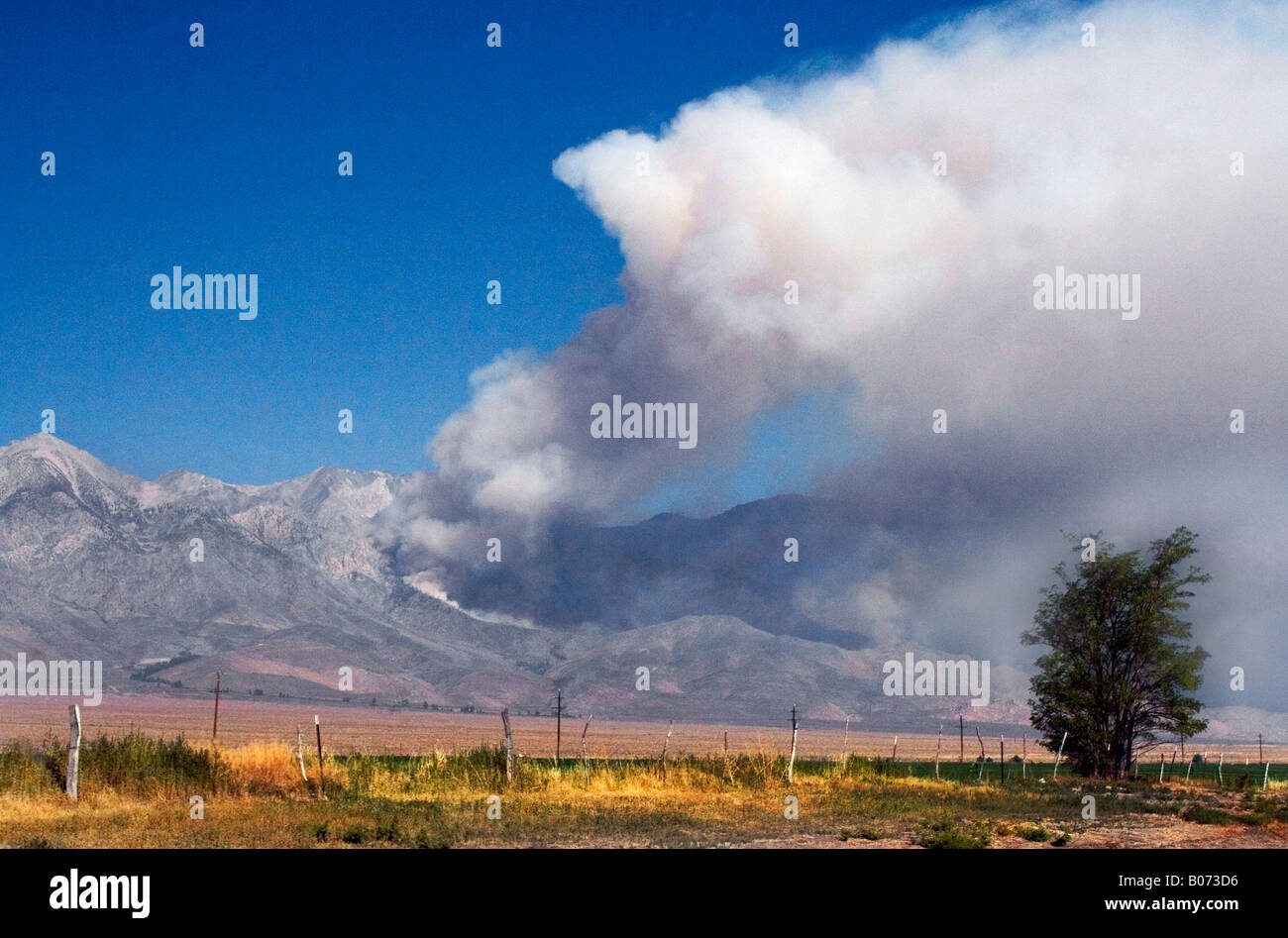 A massive forest fire on the eastern side of the Sierra Nevada Mts ...