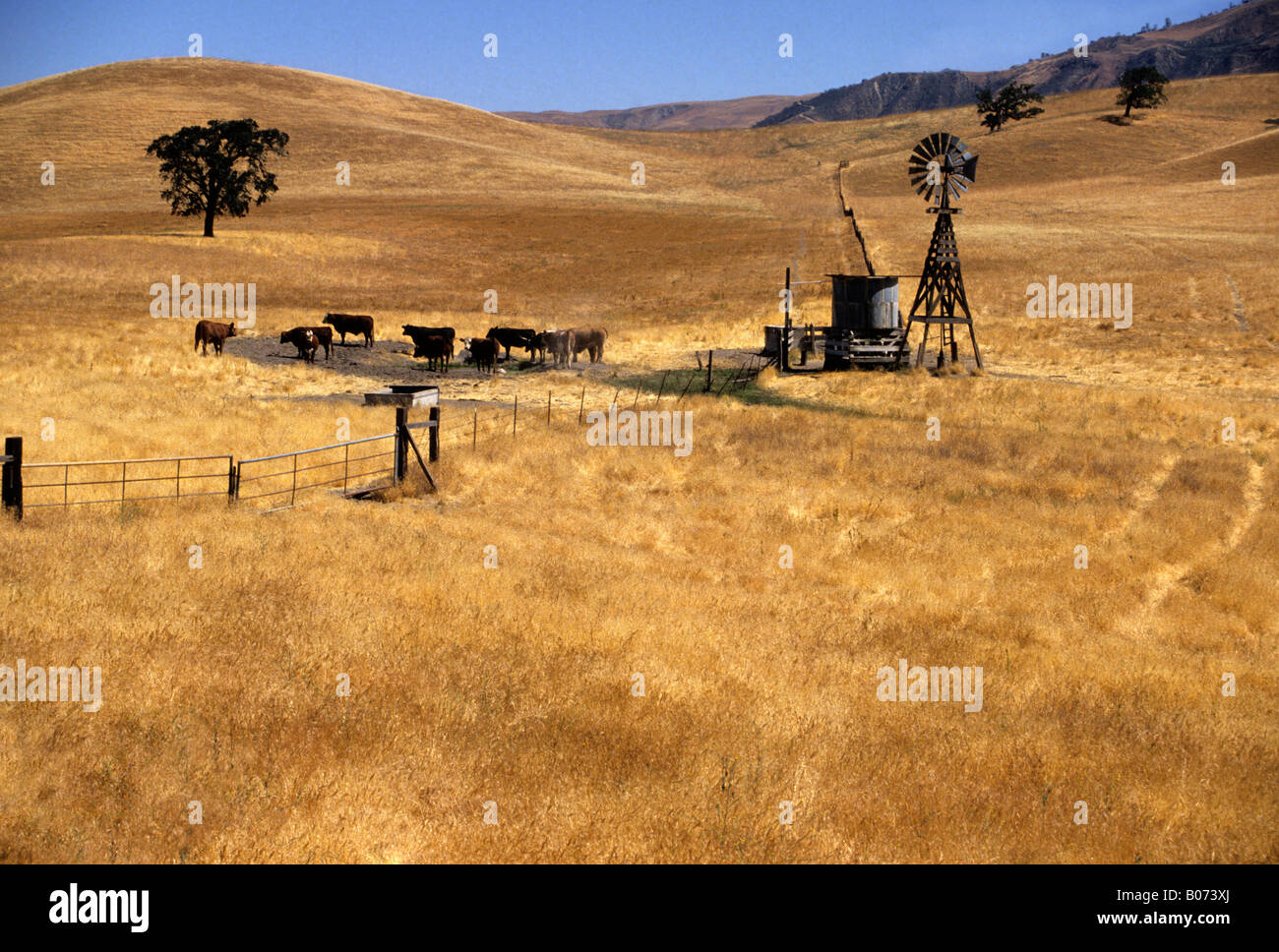 Cattle ranch water tank hi-res stock photography and images - Alamy