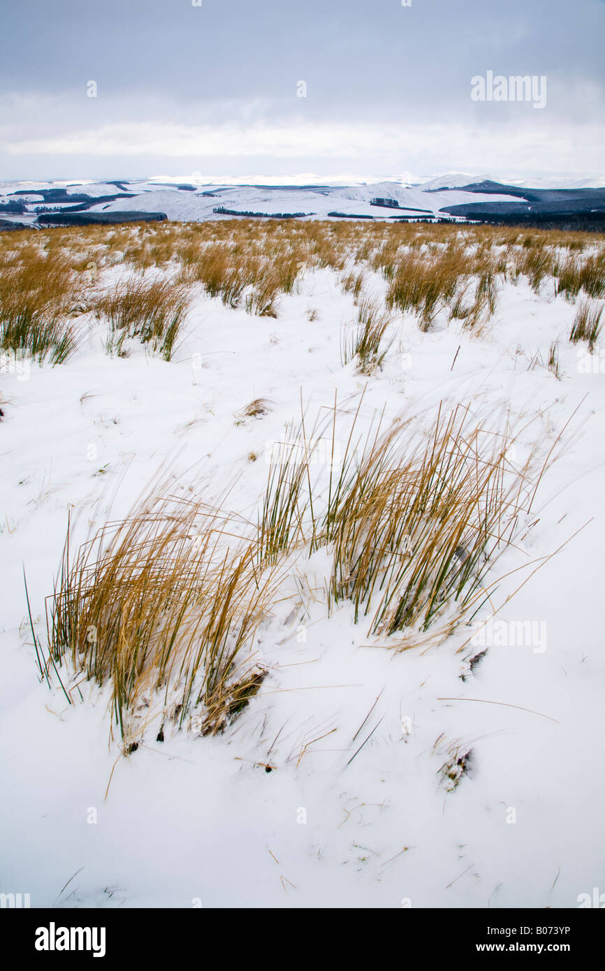 Scotland Scottish Borders Carter Bar Snow on high land near Carter Bar ...