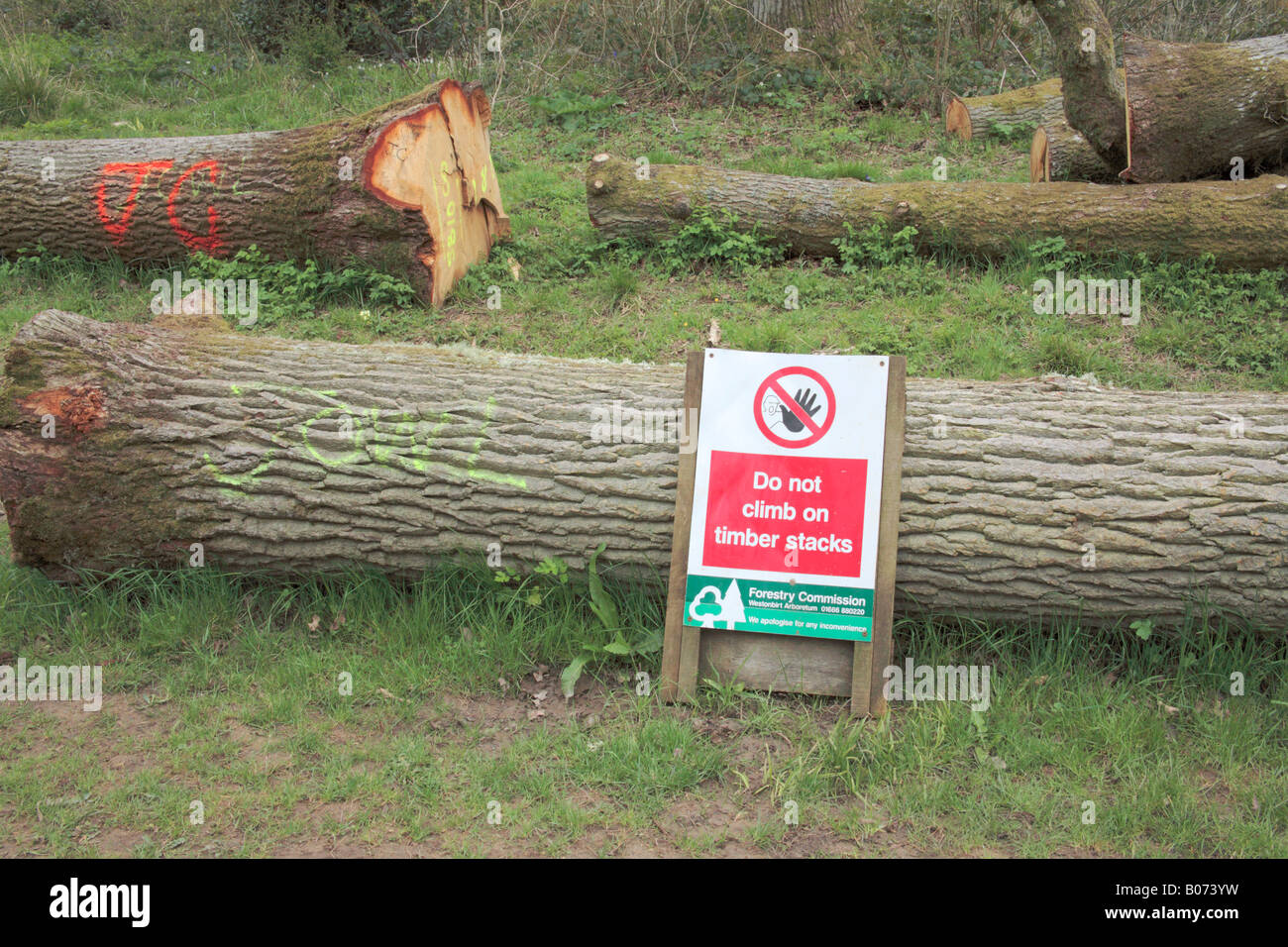 Logging safety sign Stock Photo - Alamy