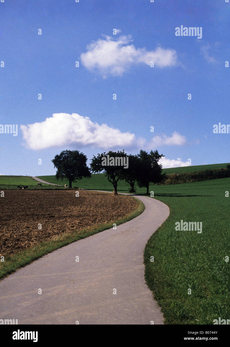 Rural road in Southern Germany winding through fields Stock Photo - Alamy
