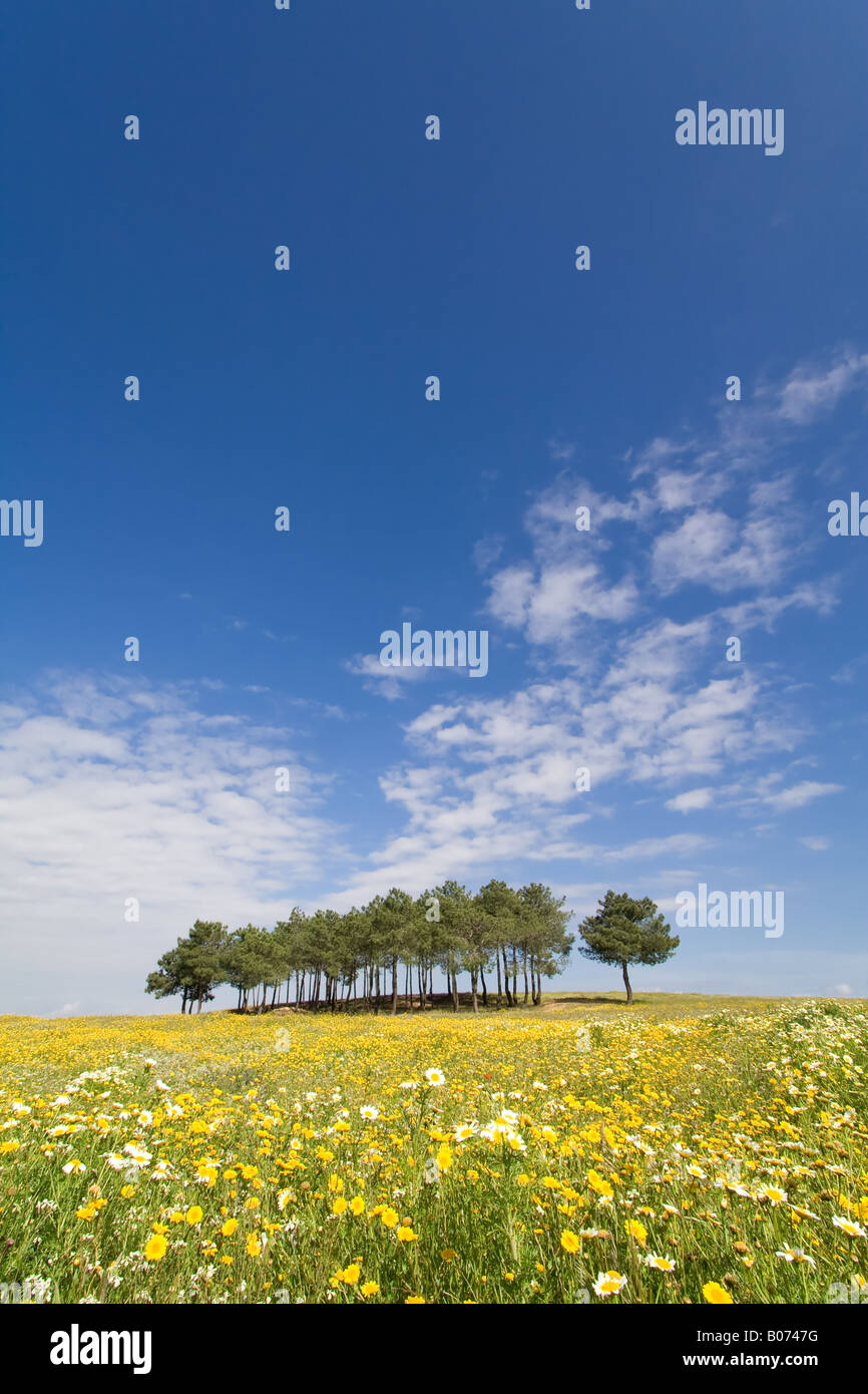 Spring landscape in Alentejo, Portugal Stock Photo - Alamy