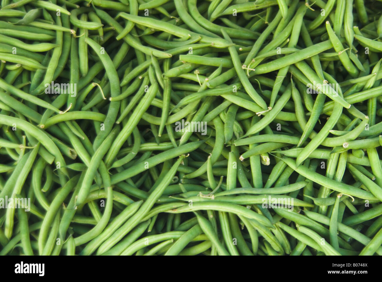 a hill of beans Stock Photo - Alamy