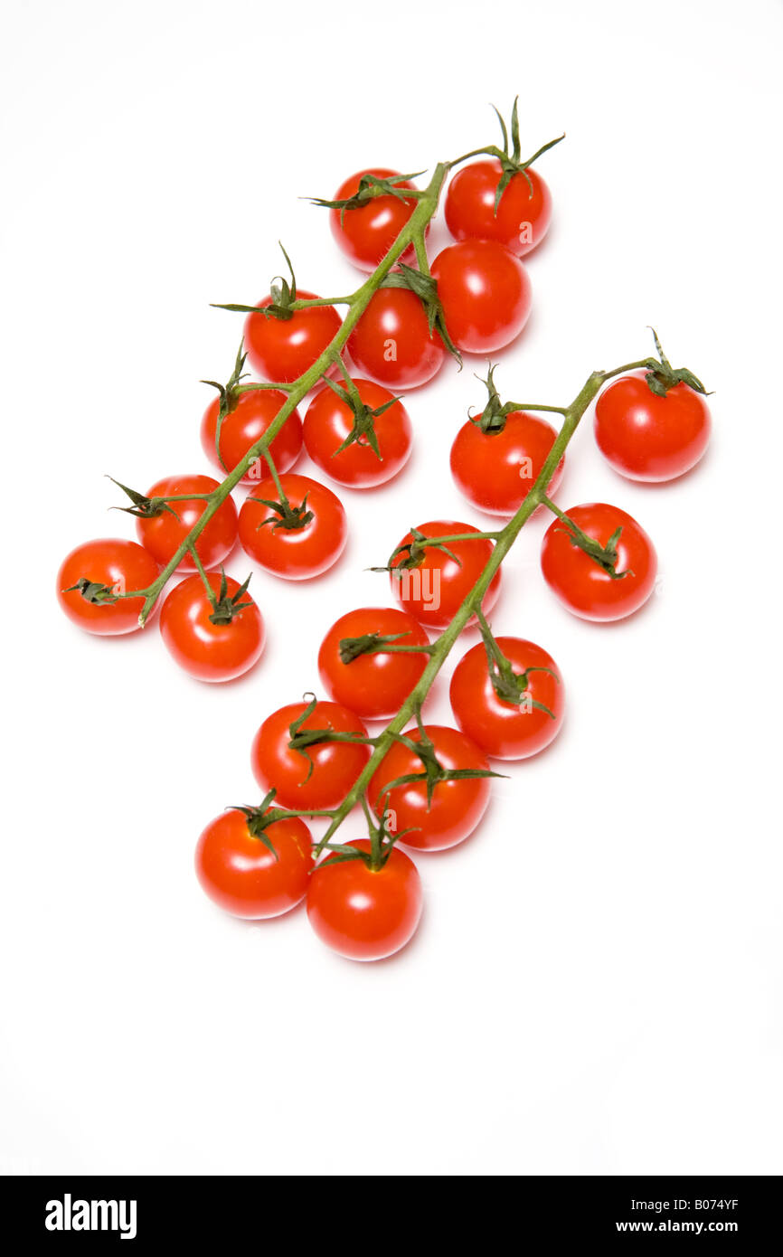 Vine tomatoes isolated on a white studio background Stock Photo - Alamy