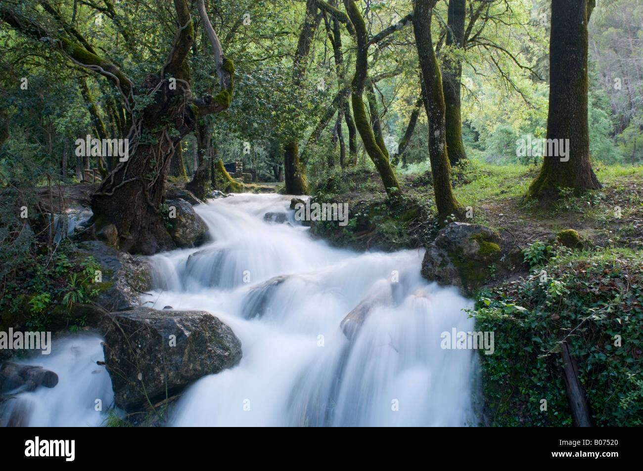 Paisaje naturaleza medio ambiente ecosistema hi-res stock photography ...