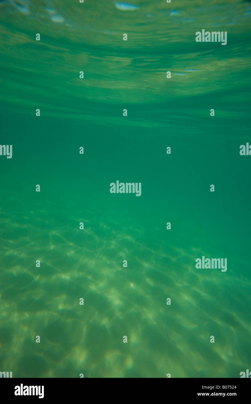 clear green sea water Stock Photo - Alamy