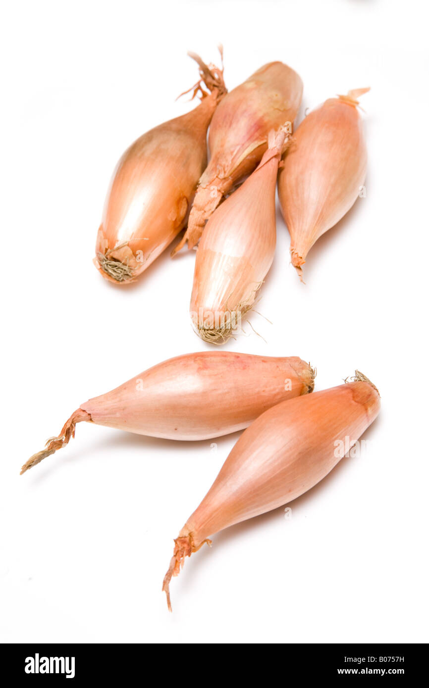 Echalion hi-res stock photography and images - Alamy