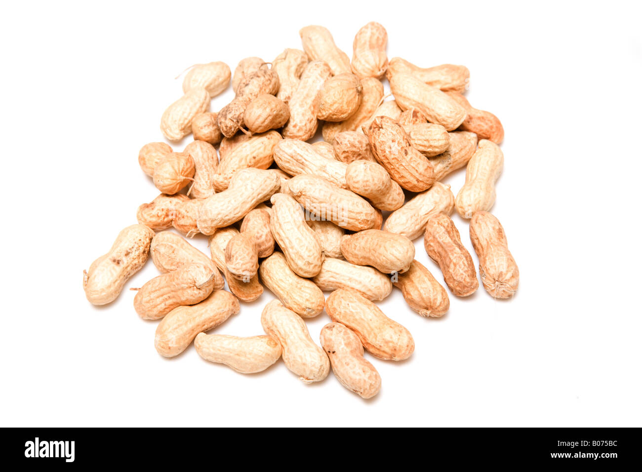 Monkey nuts or ground nuts isolated on a white studio background Stock ...