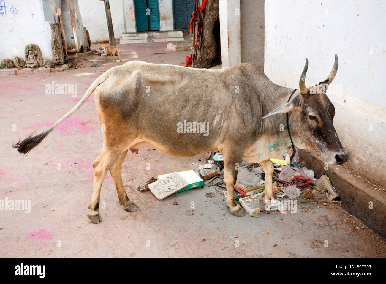 Khajuraho village hi-res stock photography and images - Alamy