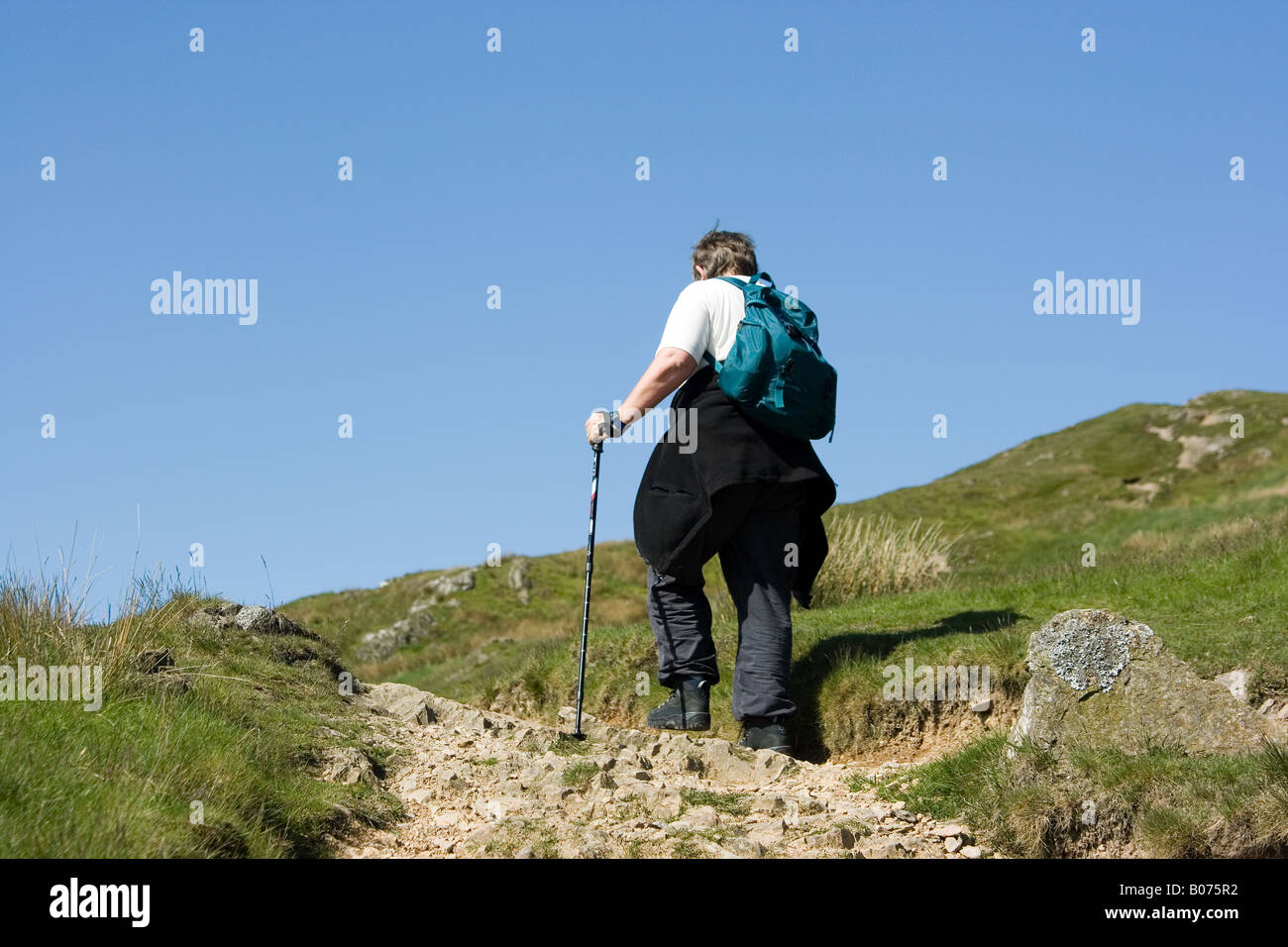Fellwalker with walking pole hi-res stock photography and images - Alamy