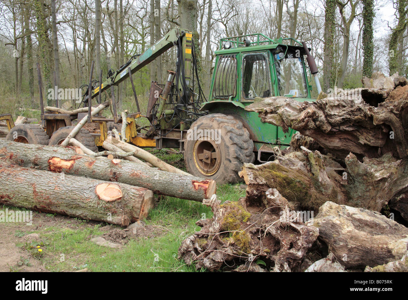 Logging, tree felling machinery Stock Photo - Alamy