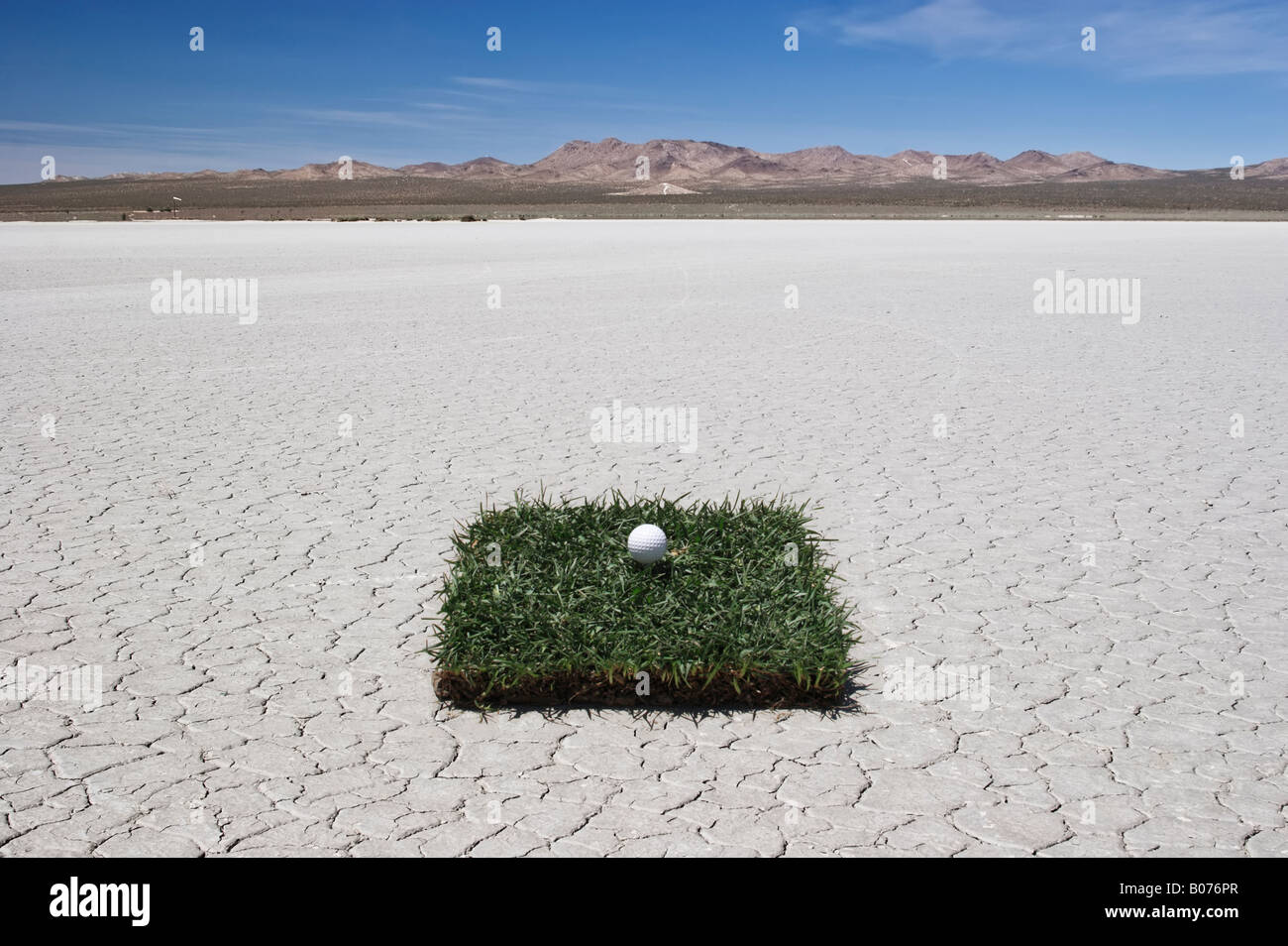 Patch grass in desert hi-res stock photography and images - Alamy