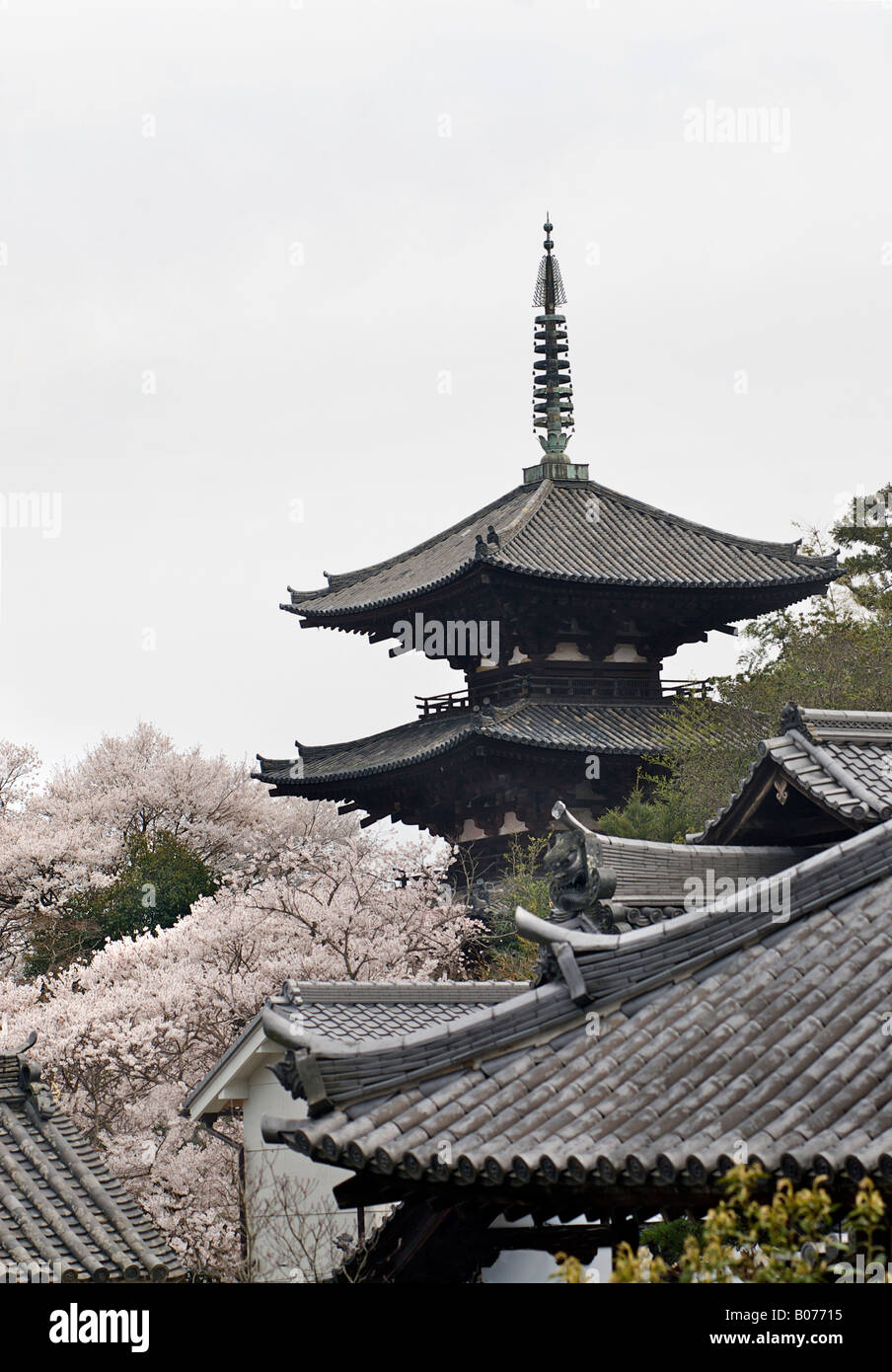 Taima temple hi-res stock photography and images - Alamy