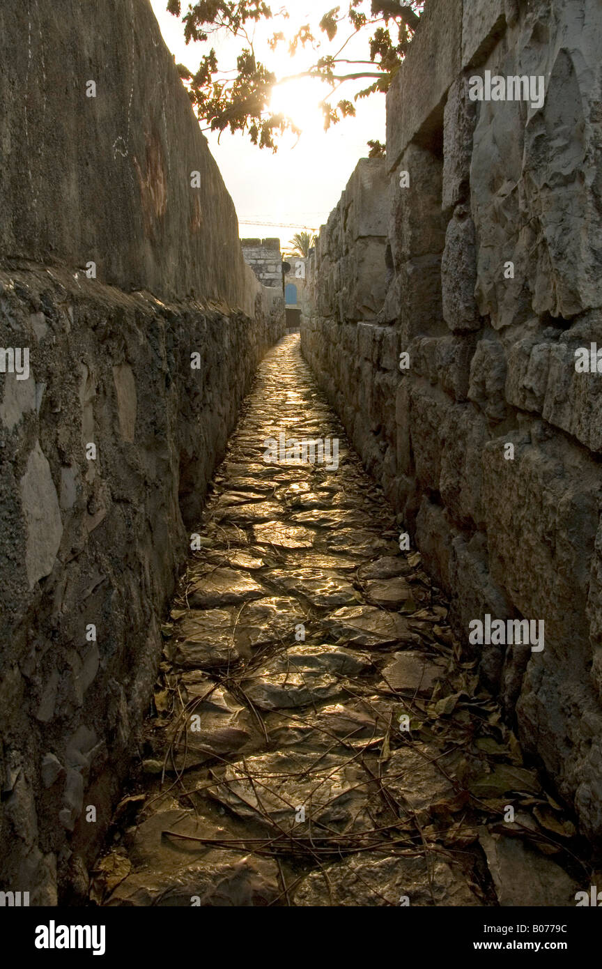 View of the upper sentry path of the Ottoman wall surrounding the ...