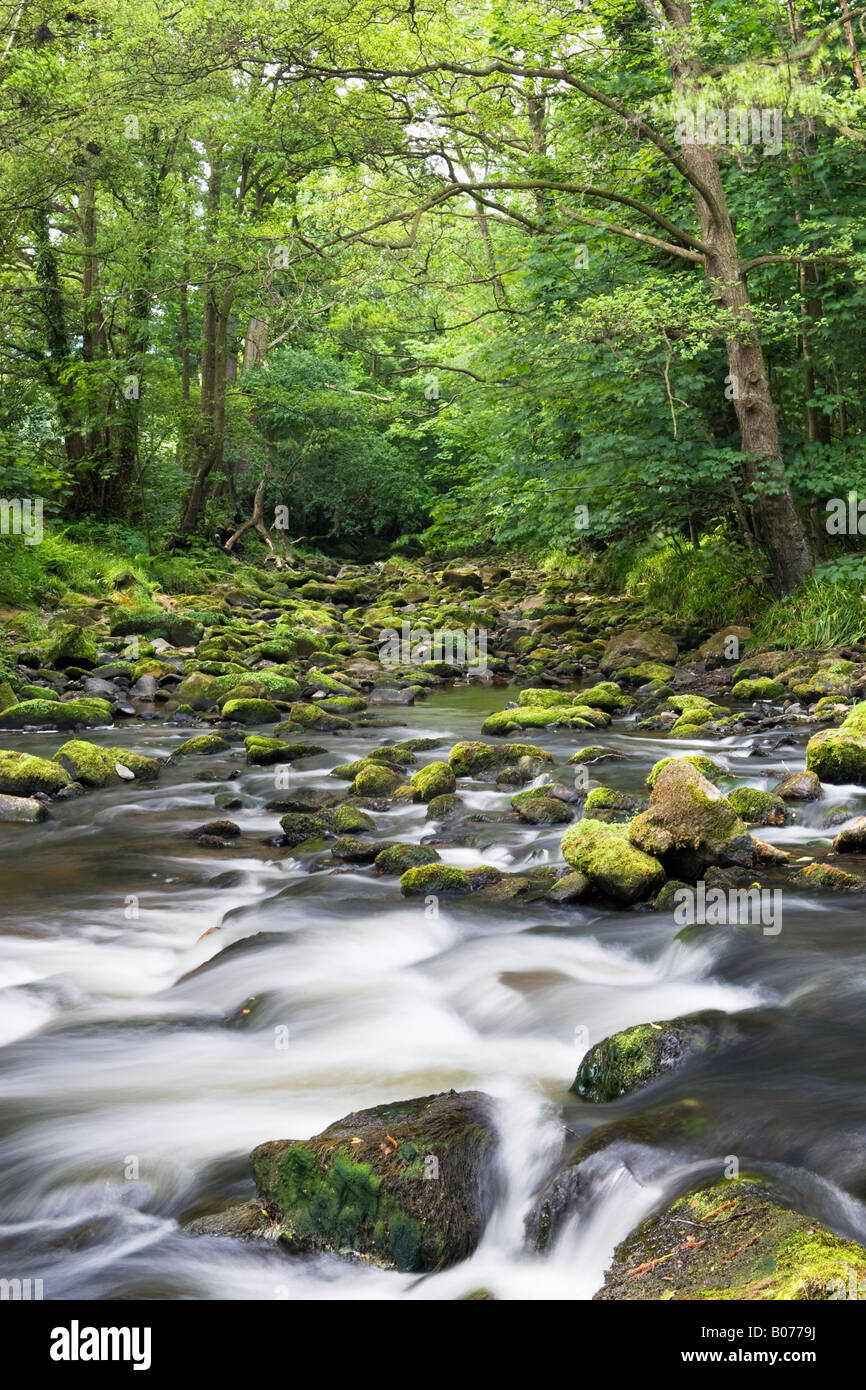 River esk at egton bridge hi-res stock photography and images - Alamy