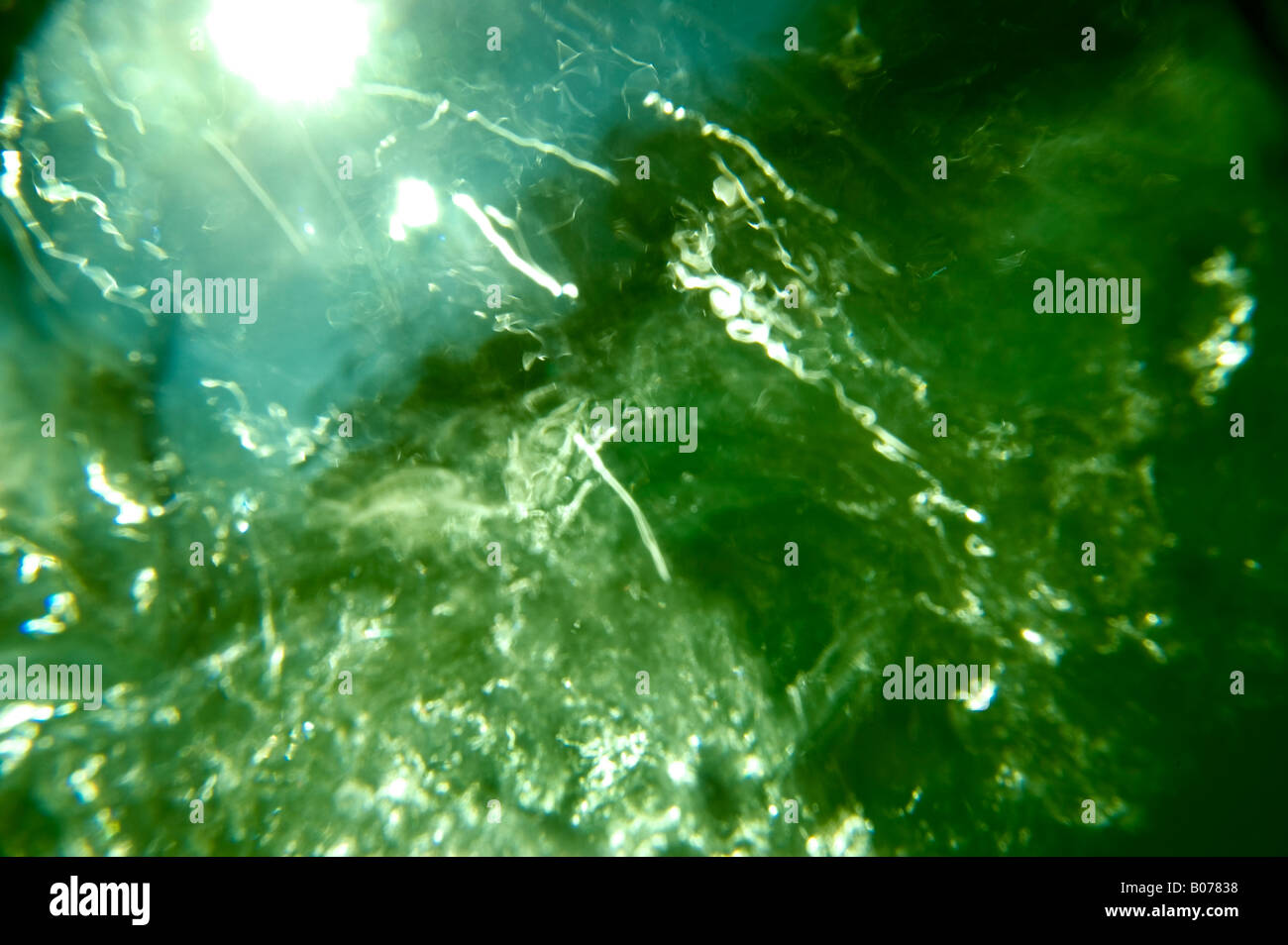 clear green sea water Stock Photo - Alamy