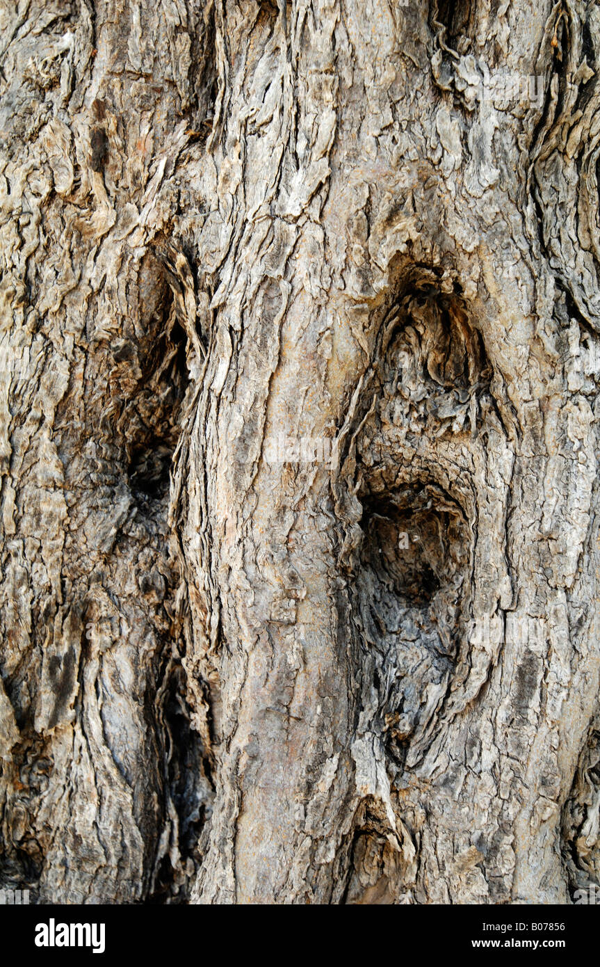 Miliou, Paphos District, Cyprus, 14 June 2007 Stock Photo - Alamy