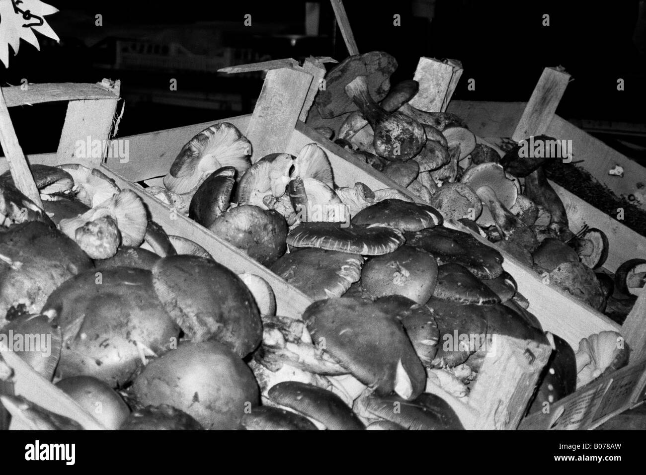 Sale ground Black and White Stock Photos & Images - Alamy