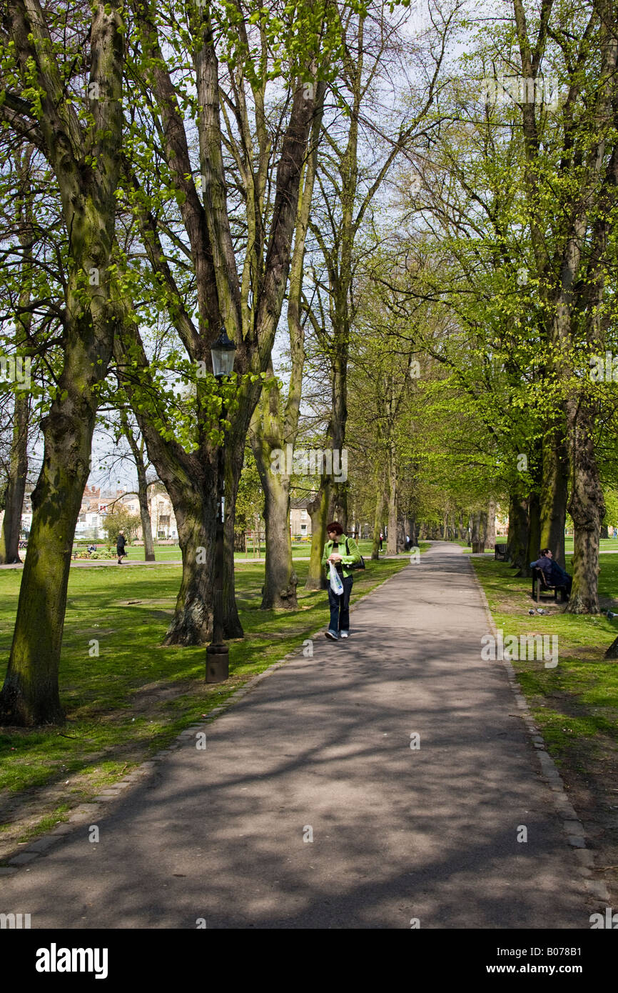 Tree lined footpath across Christ's Pieces from Drummer Street bus ...