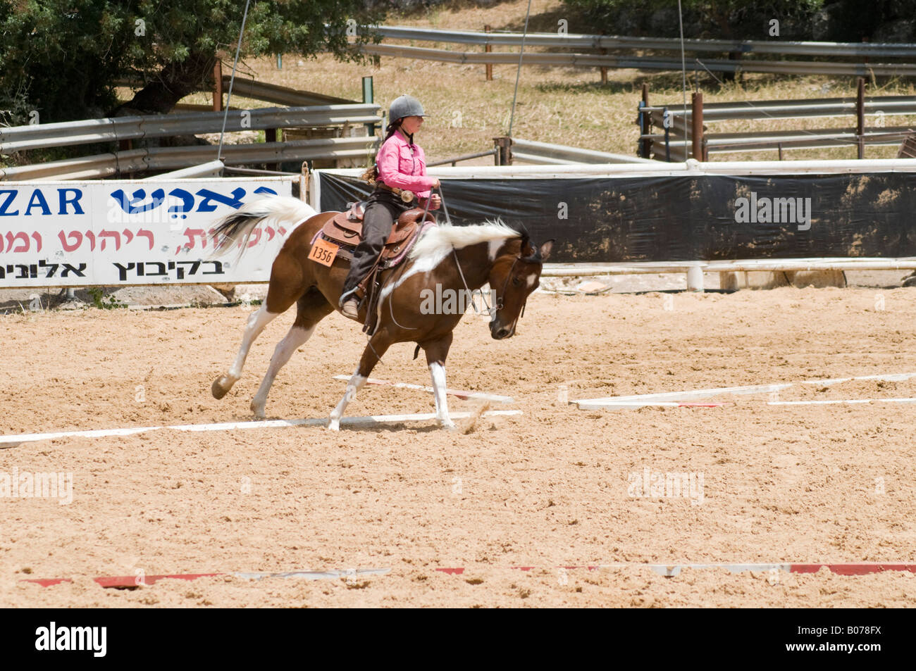 Israel Kibbutz Alonim Israeli Equestrian Organization Trail class ...