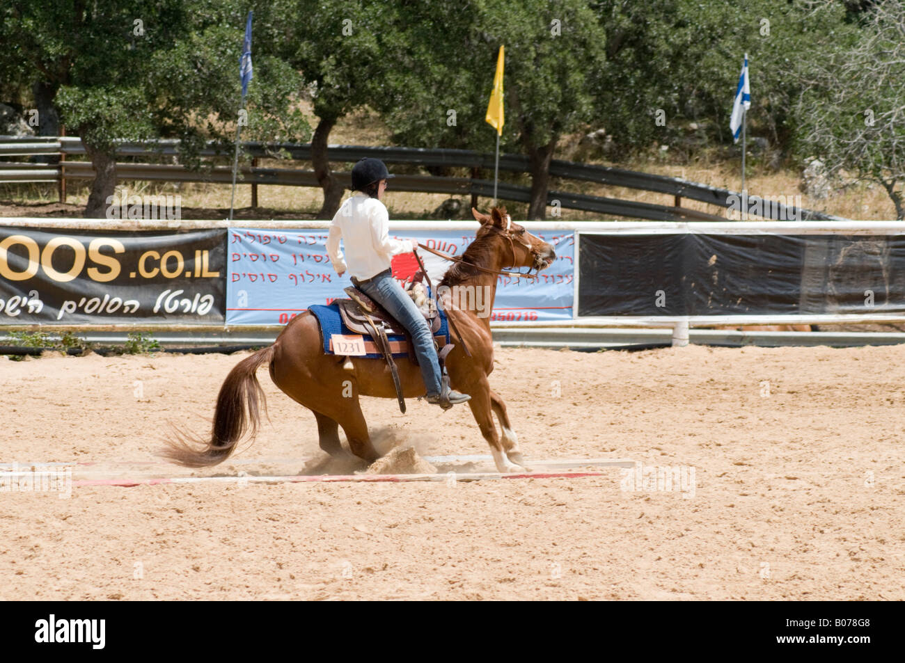 Israel Kibbutz Alonim Israeli Equestrian Organization Trail class ...
