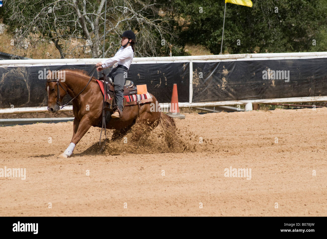Israel Kibbutz Alonim Israeli Equestrian Organization western style ...