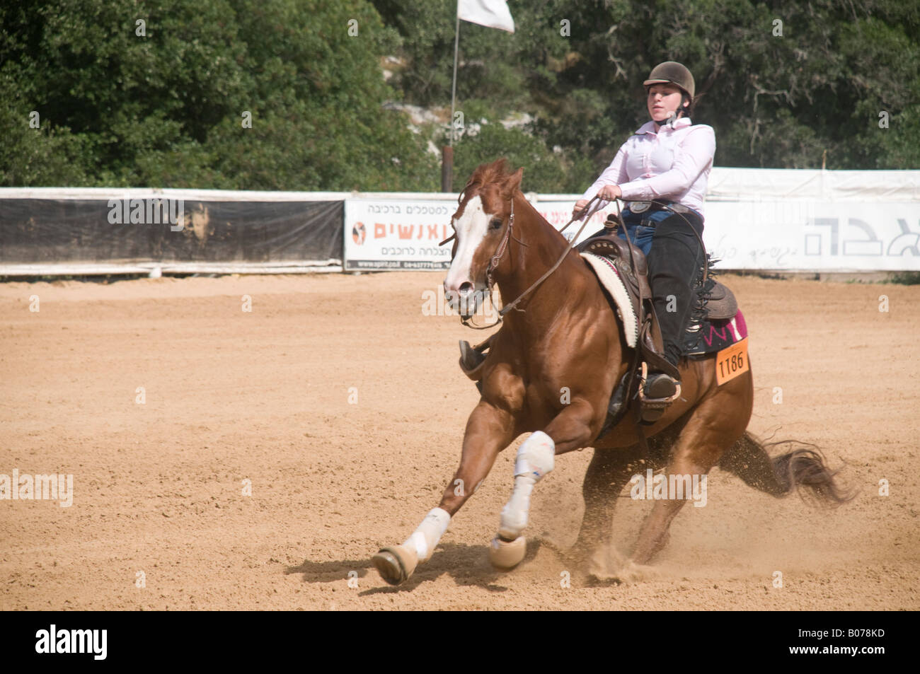 Israel Kibbutz Alonim Israeli Equestrian Organization western style ...
