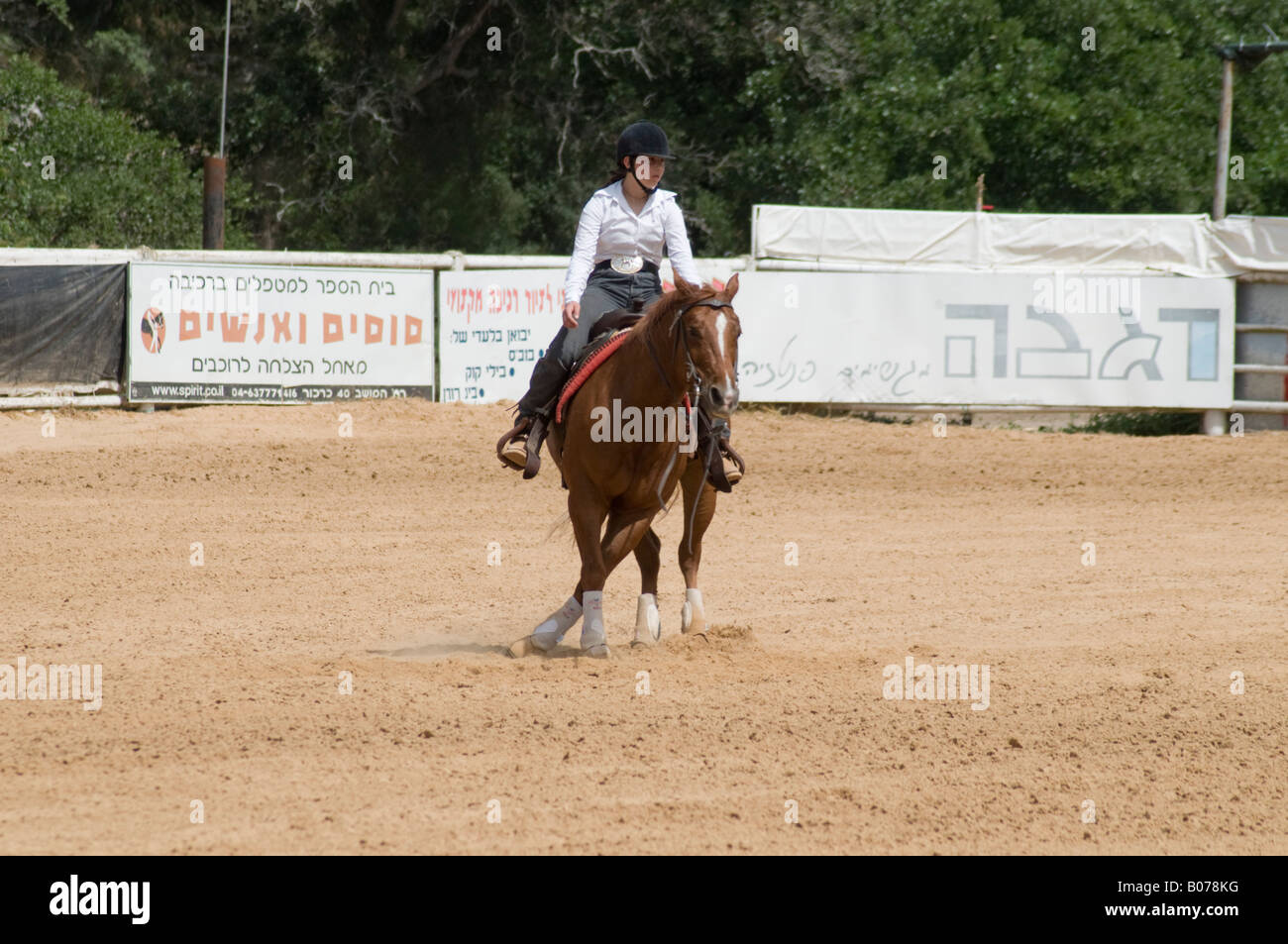 Israel Kibbutz Alonim Israeli Equestrian Organization western style ...